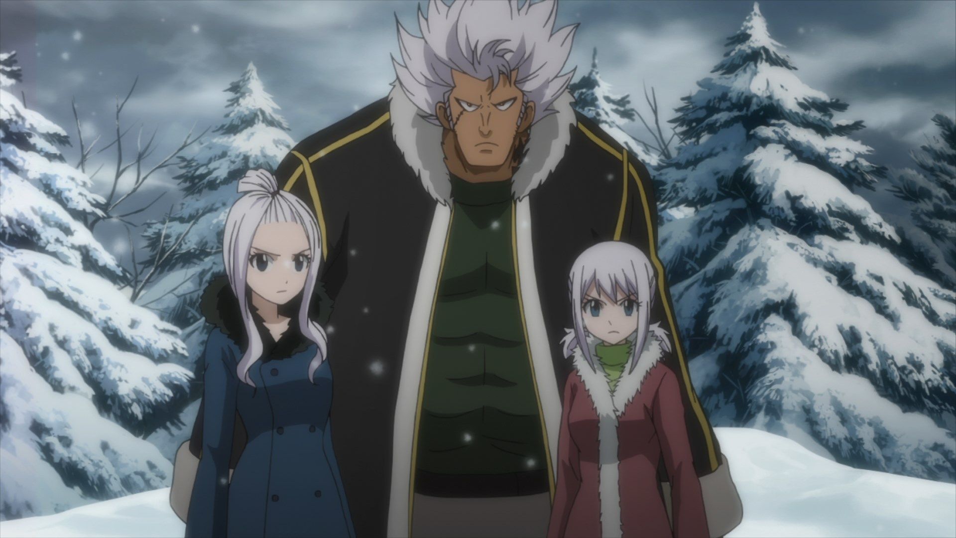 Fairy Tail｜Episode 300｜Anime